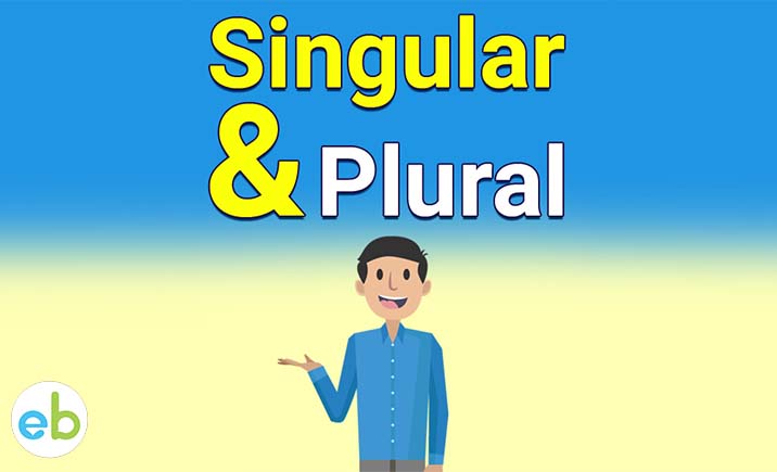 Learn About Singular and Plural Words with EnglishBolo - EnglishBolo Blog