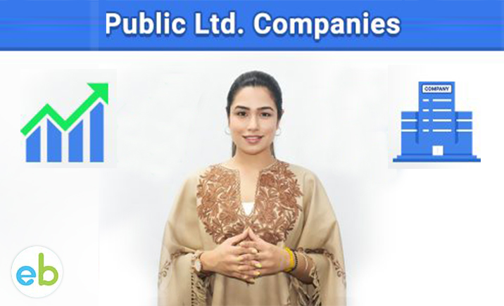 What are Public Ltd. Companies? | Talking in English About Business